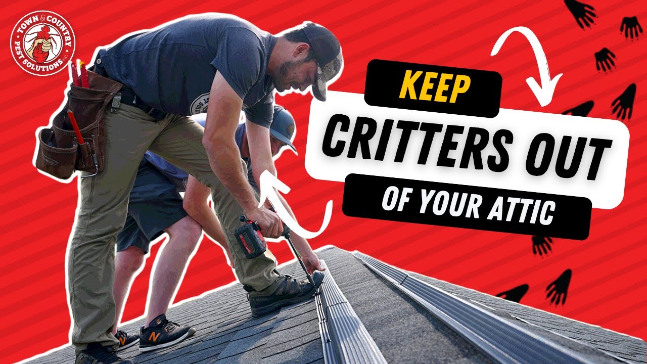 Ridge Guard: Keeping Critters Out of Your Attic | Around Town - YouTube