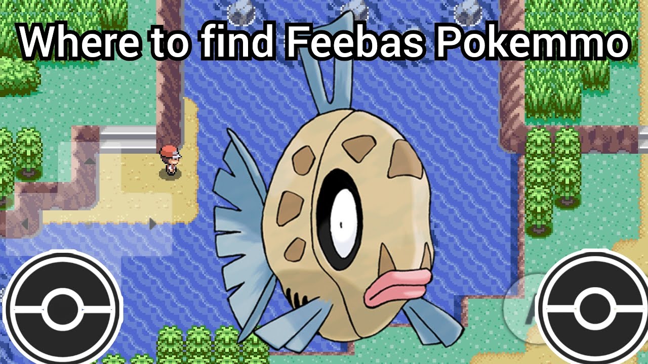How to catch Feebas in about a minute #pokemmo #feebas - YouTube