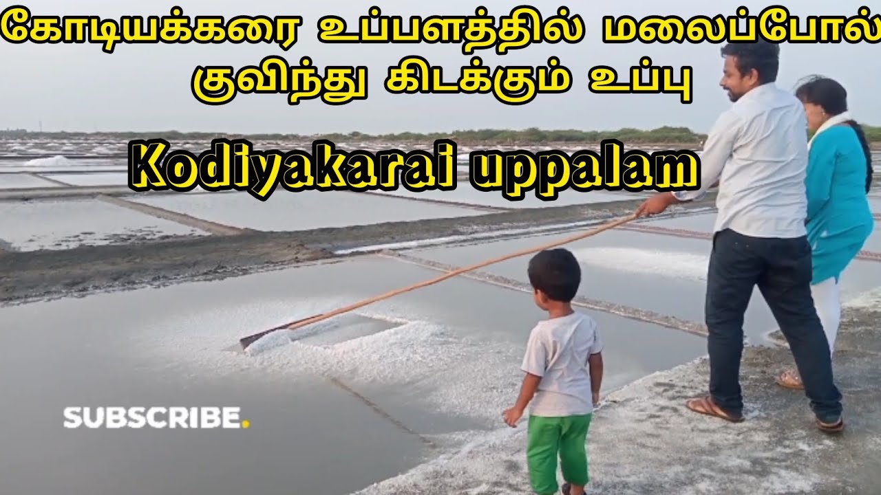 kodiyakarai uppalam vlog |கோடியக்கரை உப்பளத்தில் மலைப்போல் குவிந்து ...