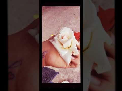 Whatsapp Ucun Maraqli Statüsü Üçün Videolar #Soundsapp #mahnı #durum #whatsapp #video #Status💔