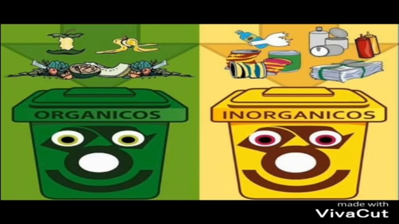 Video explicativo "Desechos orgánicos e inorgánicos" - YouTube