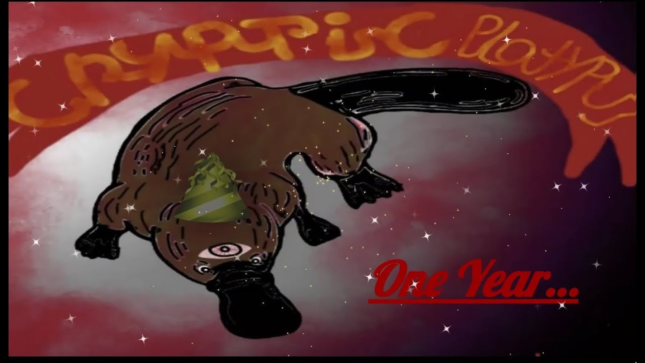 𝕆𝕟𝕖 𝕐𝕖𝕒𝕣 𝕠𝕗 ℂ𝕣𝕪𝕡𝕥𝕚𝕔 ℙ𝕝𝕒𝕥𝕪𝕡𝕦𝕤!! (ℝ𝕖𝕒𝕕 𝔻𝕖𝕤𝕔𝕣𝕚𝕡𝕥𝕚𝕠𝕟) - YouTube