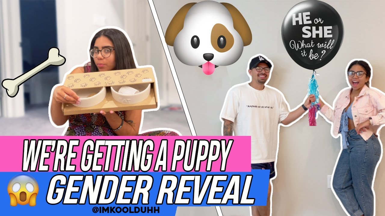WE'RE GETTING A DOG! | PUPPY GENDER REVEAL.. - YouTube