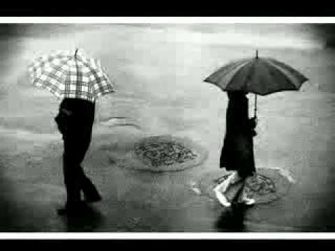 Mustafa Ceceli - Tenlerin Seimi (Limon iekleri 2009) - Sz Sezen Aksu