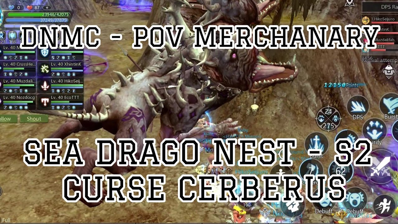 DNMC - SEA DRAGONEST (SDN) S2 - CURSE CERBERUS POV MERCHANT - YouTube