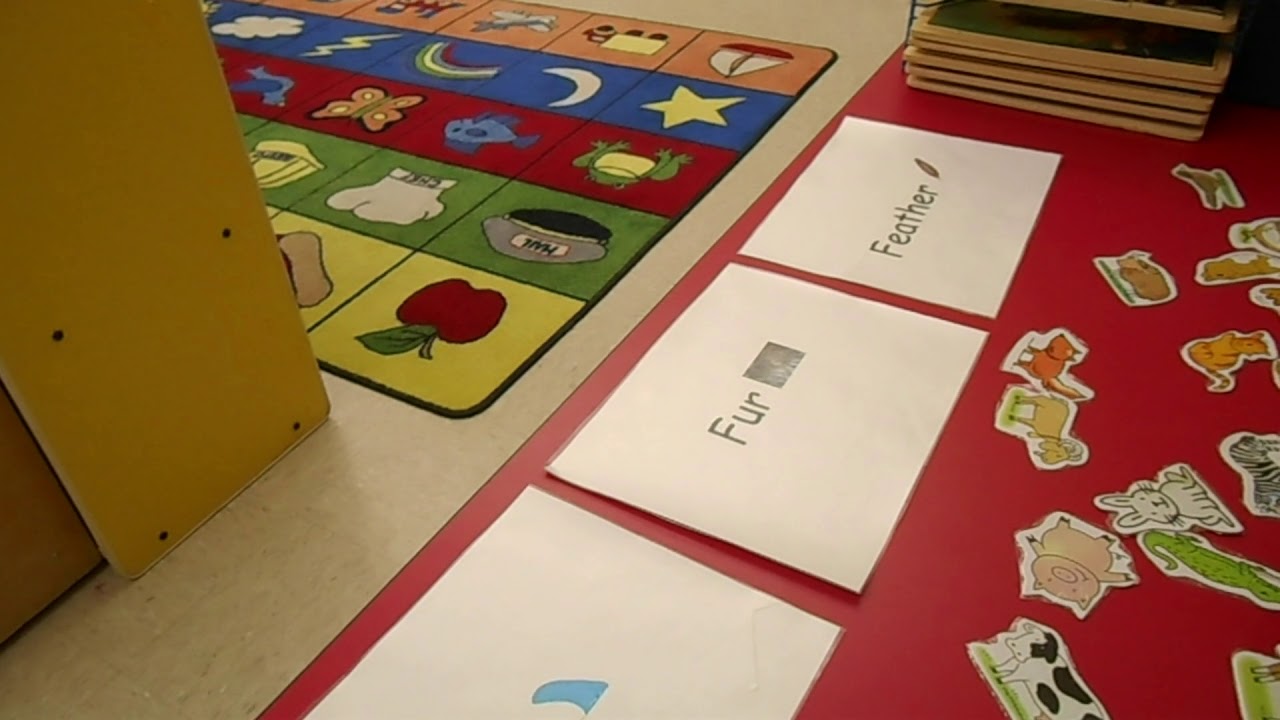 ELL Project- Education Strategy Sorting Activity - YouTube