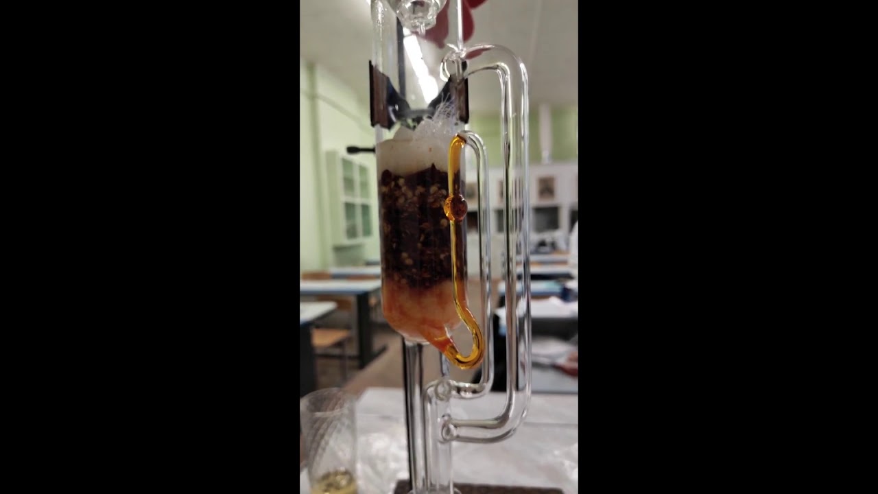 Capsaicin extraction - YouTube