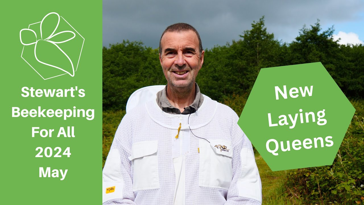 New laying Queens - Stewart Spinks From The Norfolk Honey Co. - YouTube