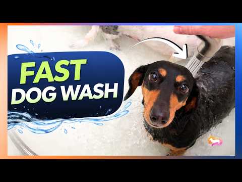 How to Wash Your Dog FAST at Home (Without the Mess!) | Dog Shower Review