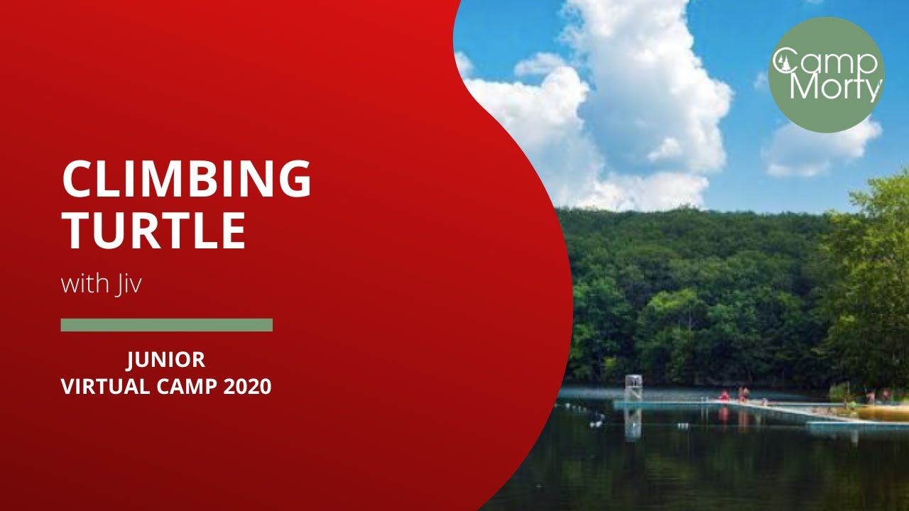 Climbing turtle with Jiv - YouTube