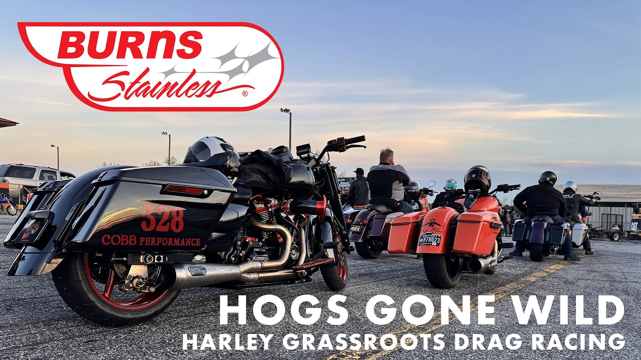 Hogs Gone Wild - Harley-Davidson Grassroots Drag Racing - YouTube