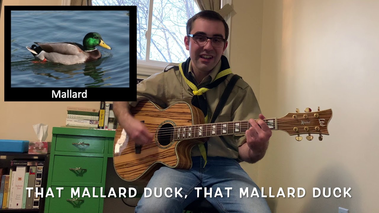 Those Dabbling Ducks: A JOHNNY CASH PARODY - YouTube