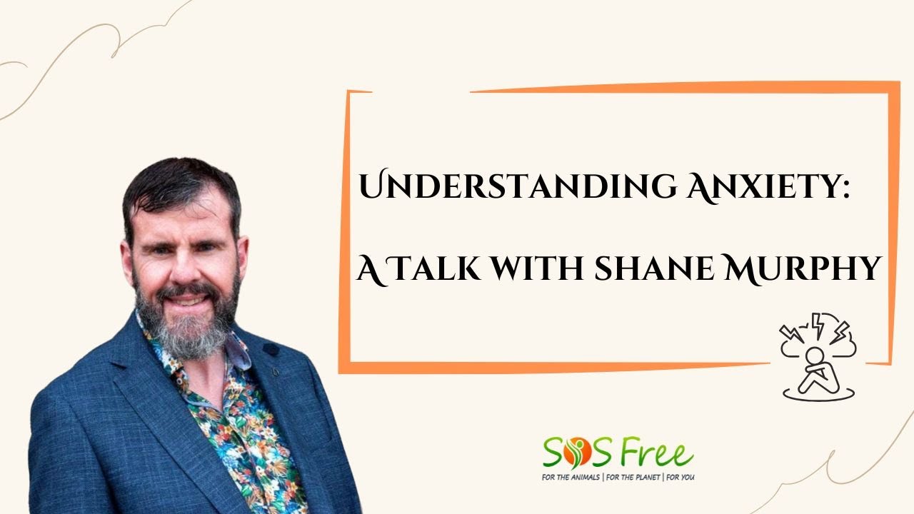 Understanding Anxiety - A Talk With Shane Murphy - YouTube