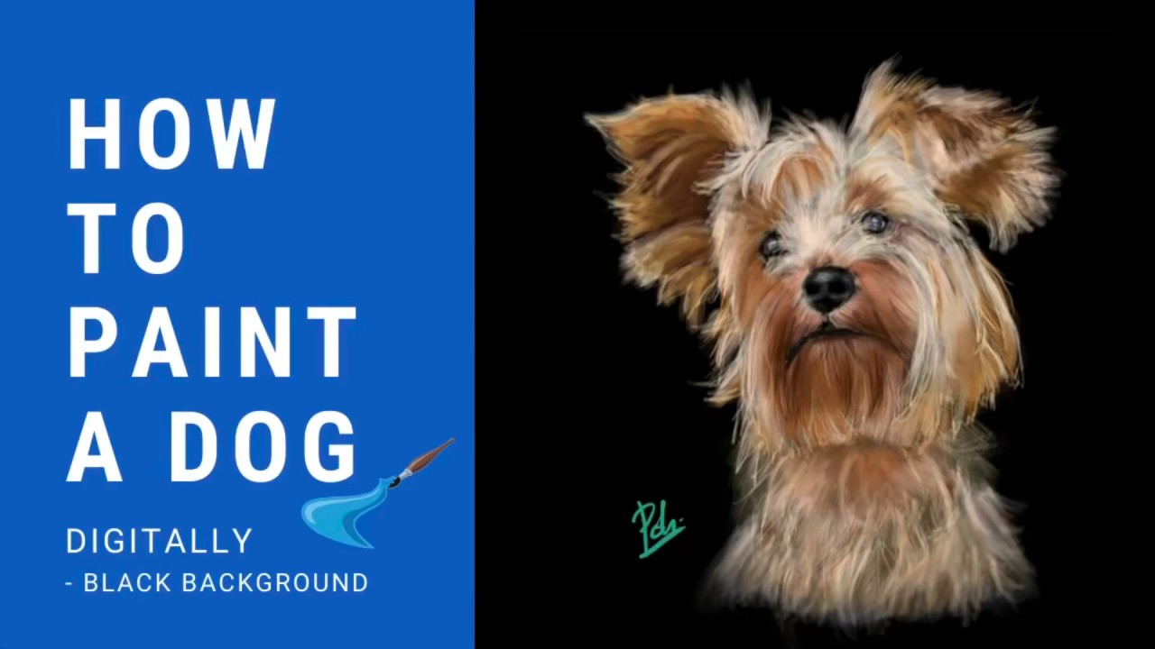 How to Paint a Dog Portrait Digitally (black background) | How to Paint ...