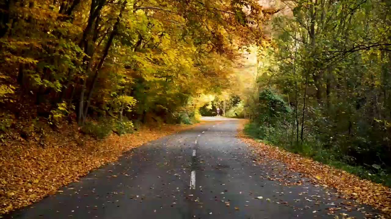 Satisfying view of nature w/relaxing sound - YouTube
