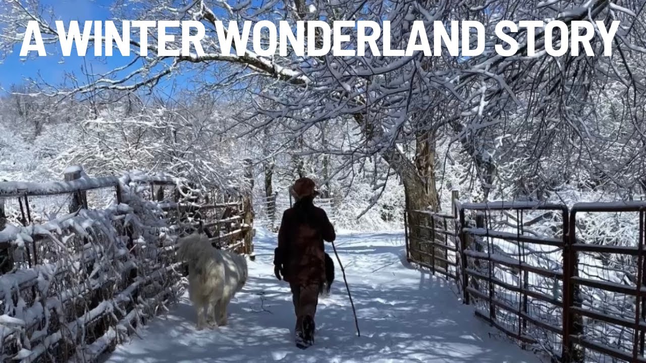A beautiful Winter Wonderland Story With Breathtaking Scenery - YouTube