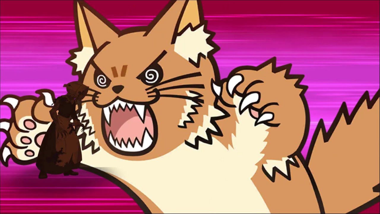 Tamamo Cat NP | Sansan Nikkou Hiruyasumi Shyuchi - YouTube