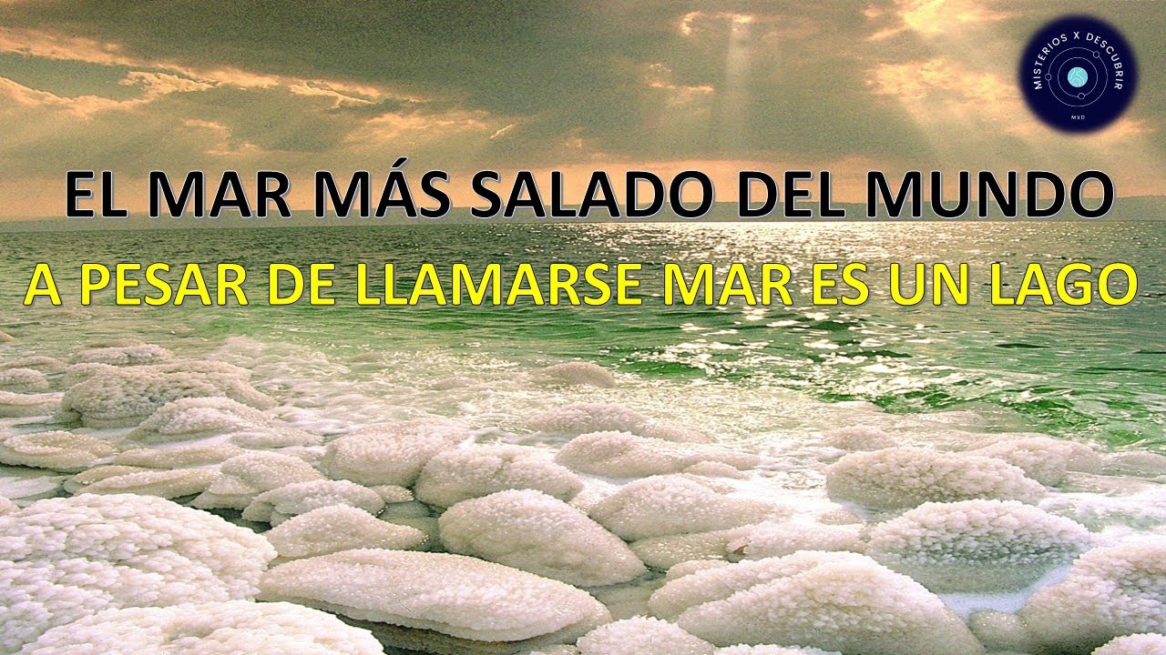 ¿POR QUÉ ES IMPOSIBLE HUNDIRSE EN EL MAR MUERTO? - YouTube