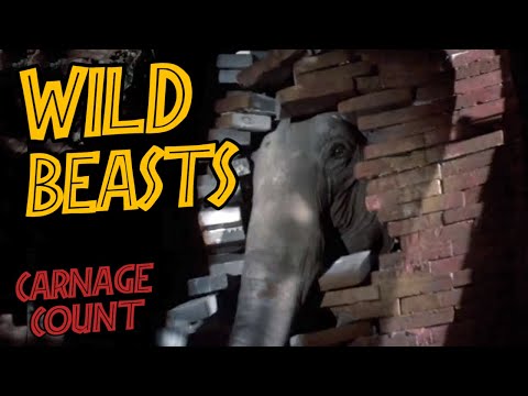 Wild Beasts (1984) Carnage Count