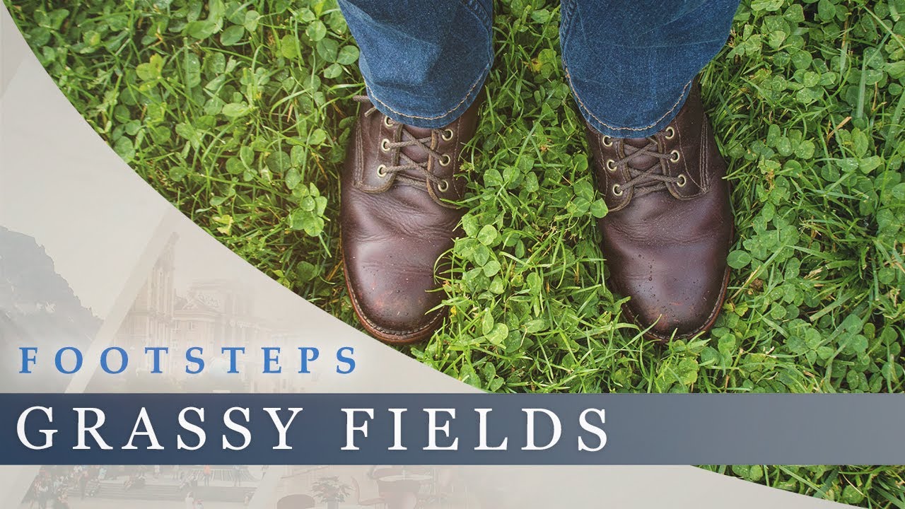 Footsteps - Countryside | Walking Through Tall Grass, Gentle Breeze ...