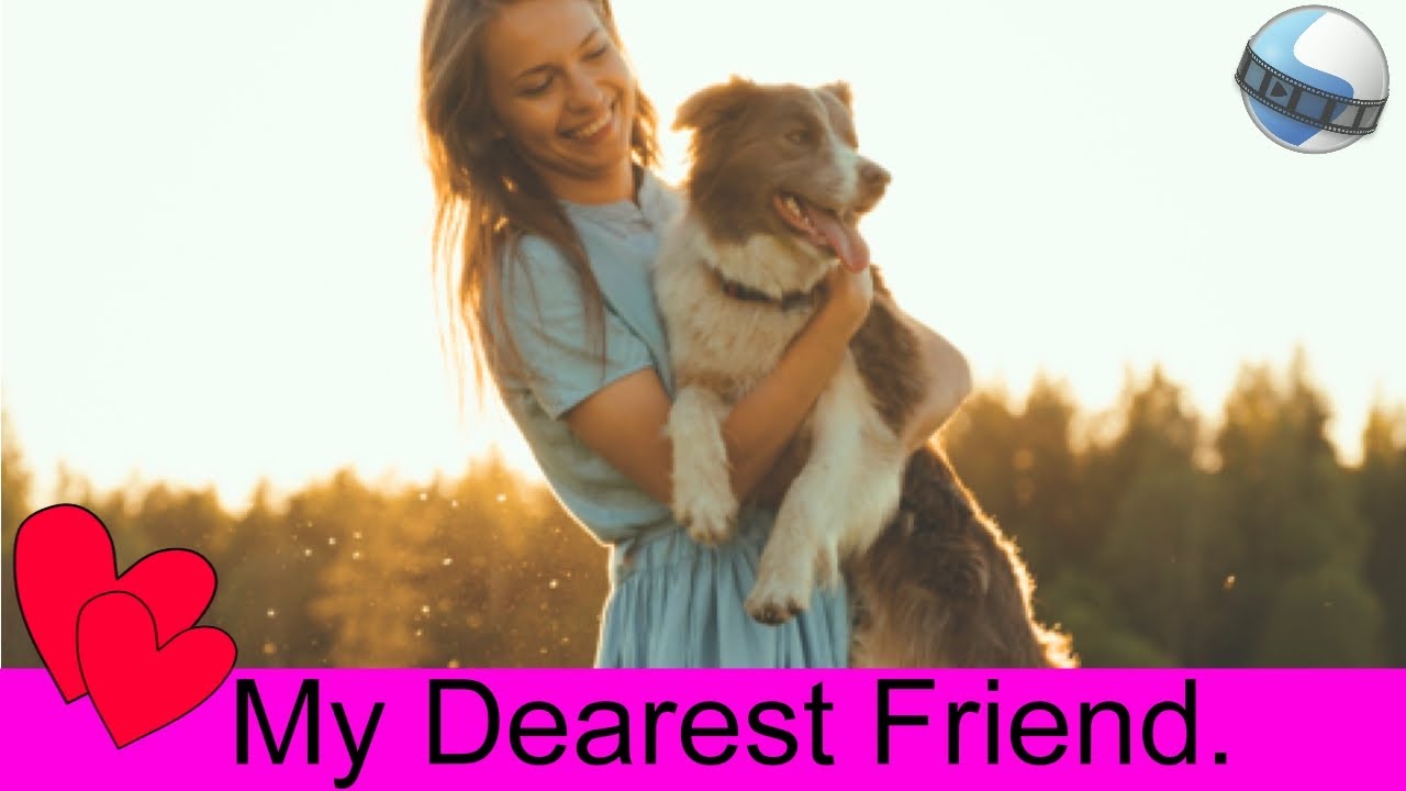 My Dearest Friend. A movie made with Openshot. - YouTube