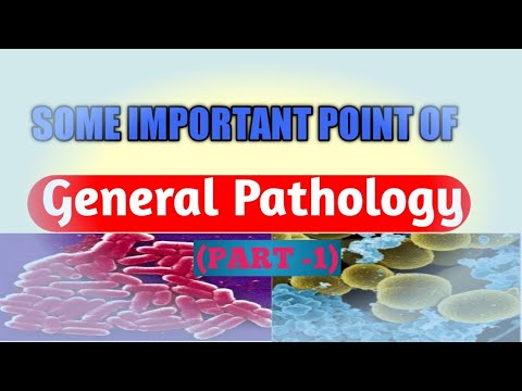Various Body in General Pathology||Aschoff Body||Creola Body||Negri's ...
