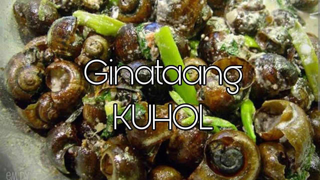 ginataang KUHOL with kangkong - YouTube