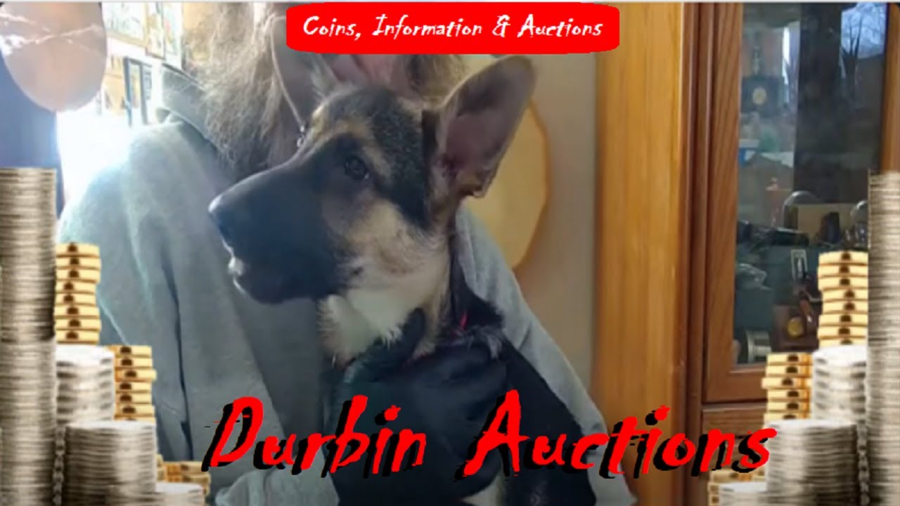 NO AUCTION TODAY... - YouTube