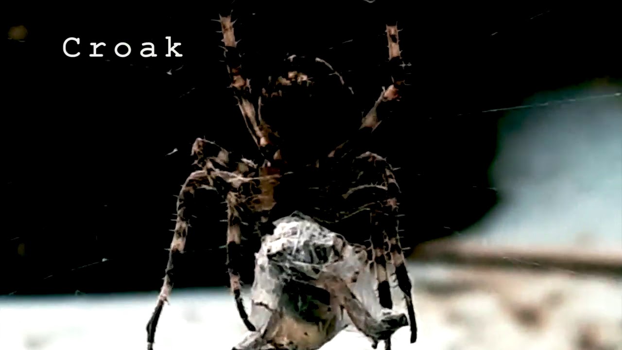 Croak - YouTube
