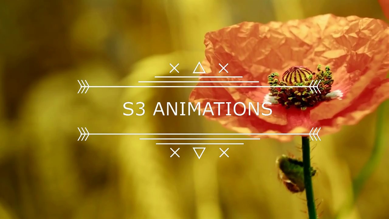 S3 Animations Project - 1 - YouTube