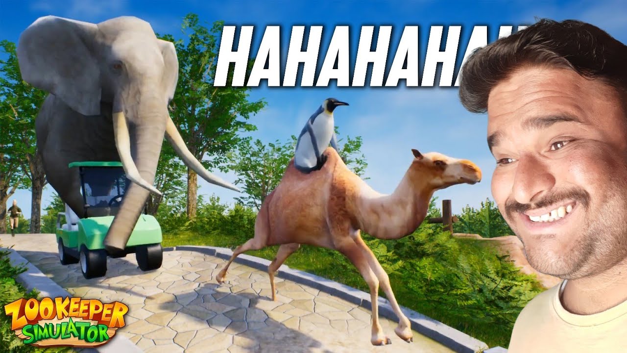 Zookeeper Simulator Gameplay - YouTube
