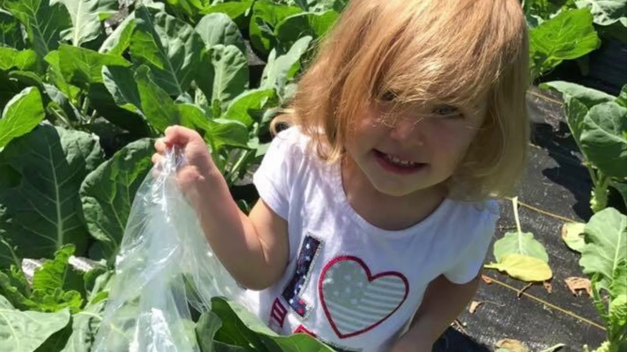Feed Iowa First Veggie Bus PSA - YouTube