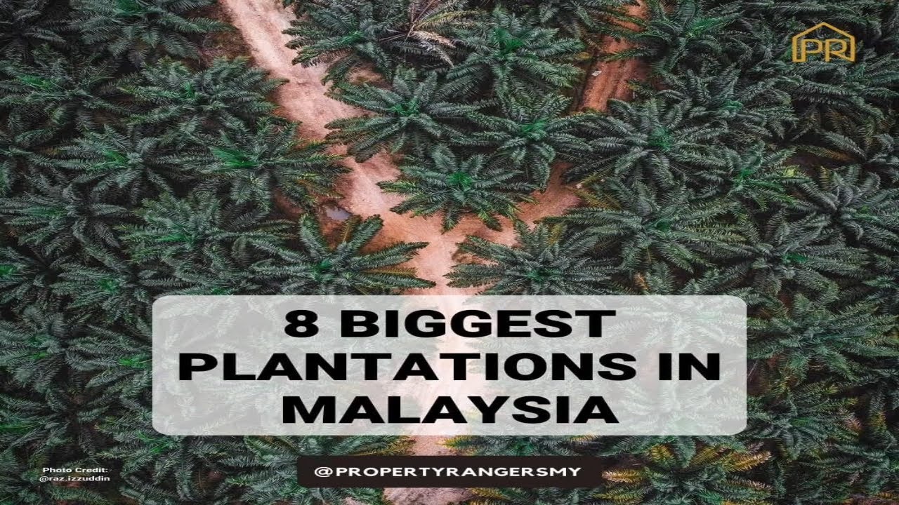 8 Ladang Sawit Terbesar Di Malaysia | 8 Most Biggest Plantation In ...