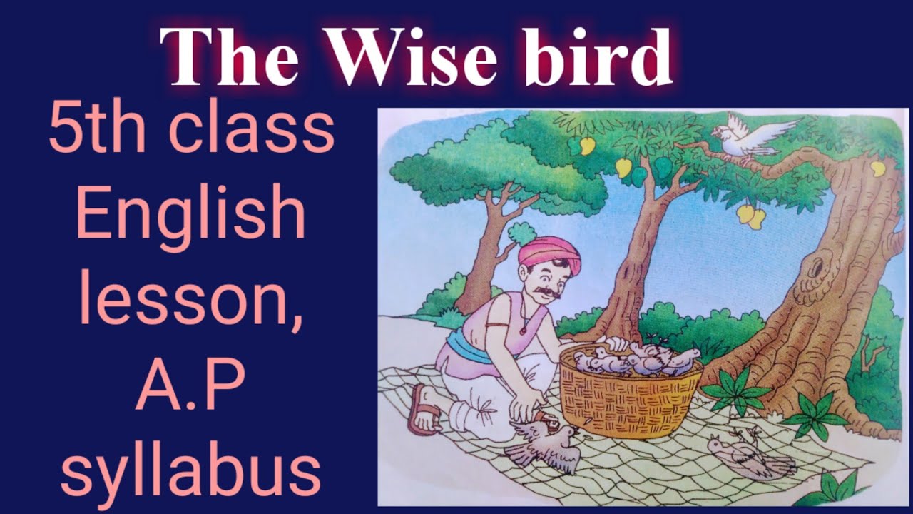 The Wise bird, 5th class English lesson,A.P syllabus - YouTube