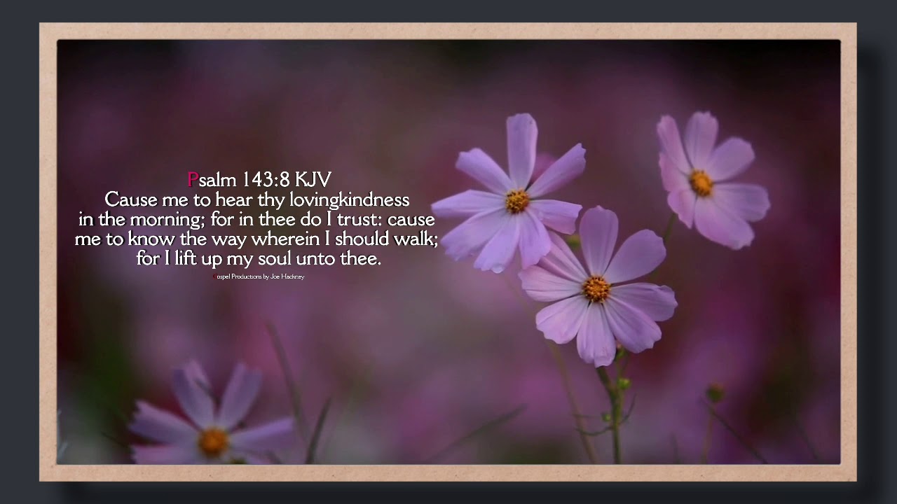 VIDEO BIBLE VERSE PSALM 143 8 YouTube video-bible-verse-psalm-143-8-youtube