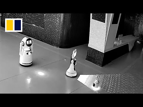 Robot in China persuades others to ‘go home’