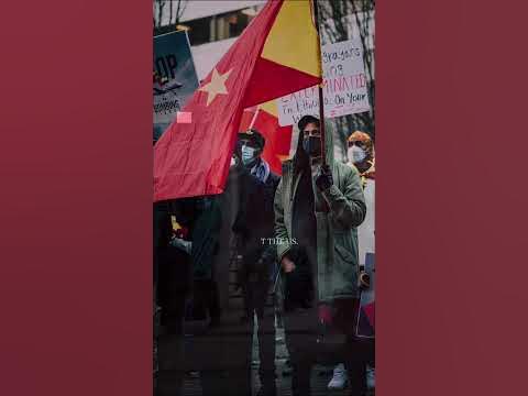 The real reason why the Americans Lost the Vietnam War🇺🇸🇻🇳 #shorts # ...