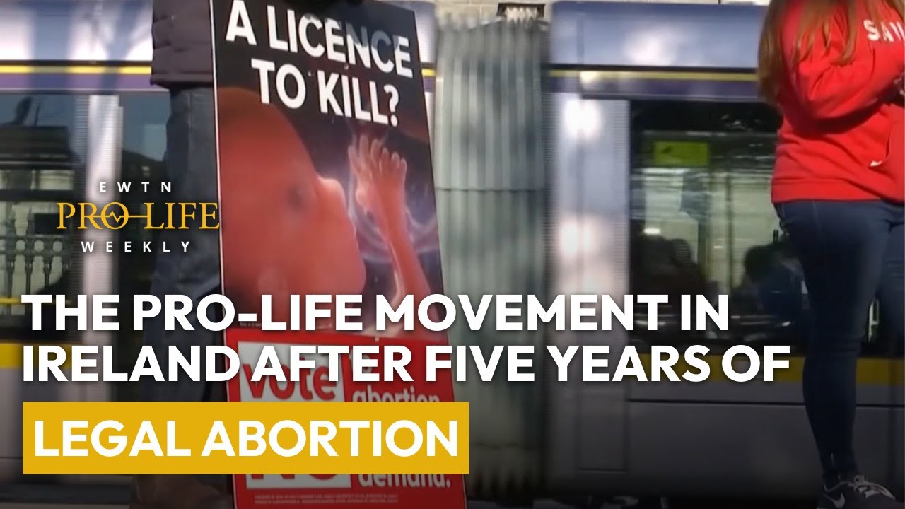 The Pro-Life Movement in Ireland after Five Years of Legal Abortion ...