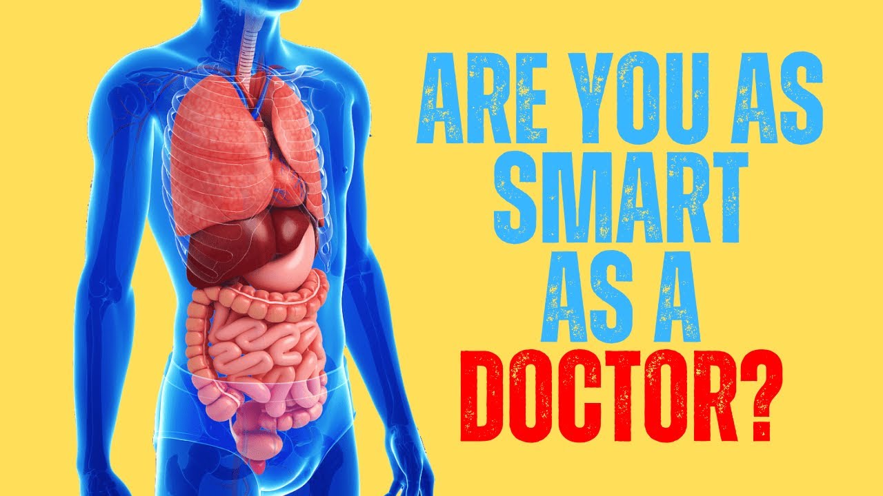 Human Organs Quiz | How Well Do You Know Your Body? - YouTube