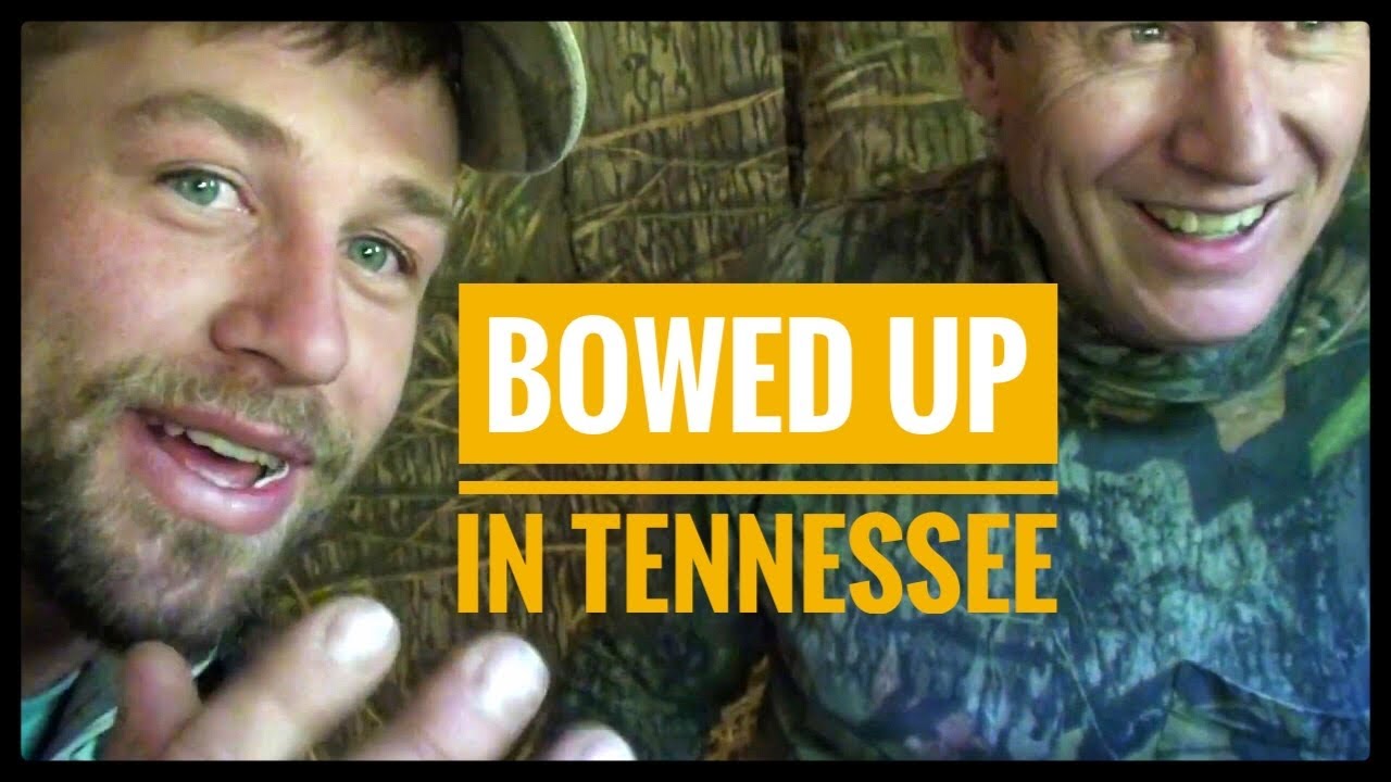 Bowed Up 4 Gobblers (Tennessee 2020) Bow Hunt Turkey Series - YouTube
