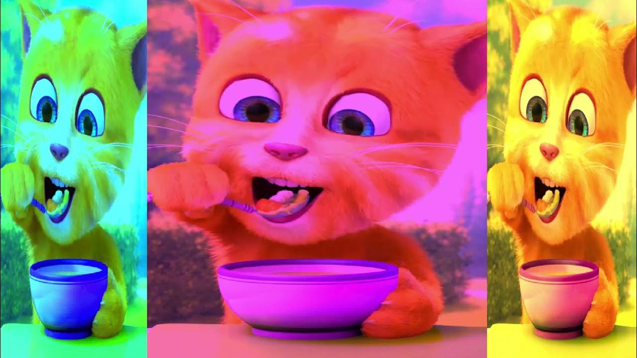 My Talking Ginger Funny New Movements Update 543 Youtube