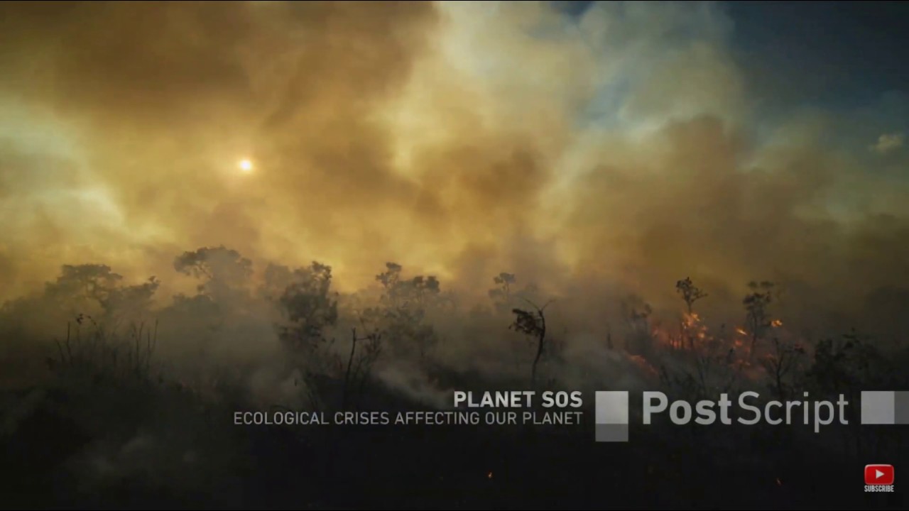 Earth is suffering because of our actions - YouTube