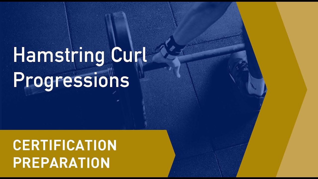 Hamstring Curl - Example of Progression of Leg Exercises - YouTube