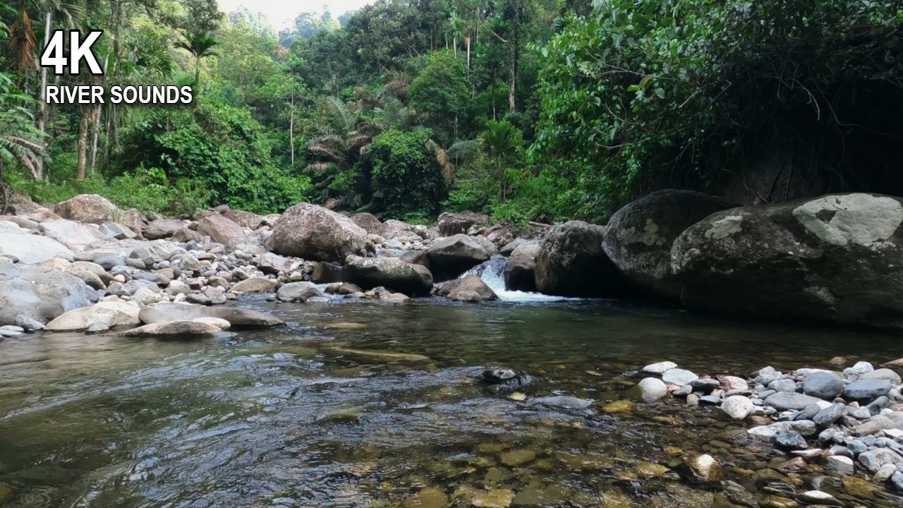 4K Relaxing River Sounds of a clean Mountain River No Birds, ASMR - YouTube