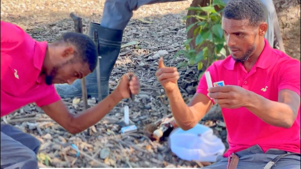 VERTILIO SANGRE CALIENTE CAPÍTULO #6 REALIZA RITUAL DE BRUJERÍA POR SU ...