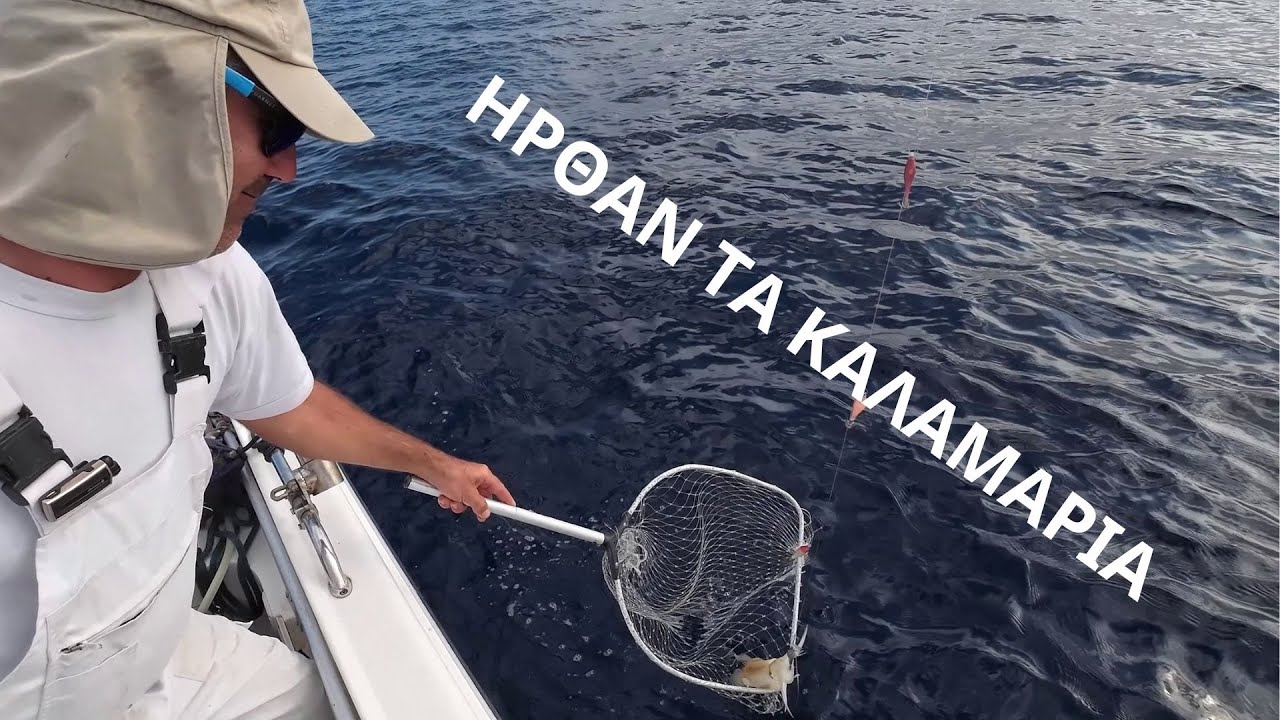 Ήρθαν τα καλαμάρια και τα τσαούσια!! - YouTube