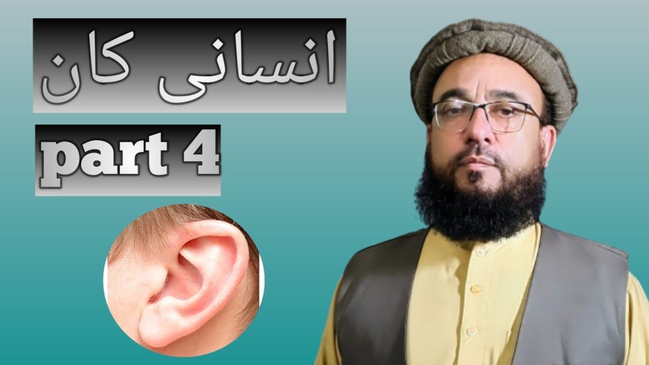 Human Ear part 4 by Dr Muhammad Ayub shinwari - YouTube