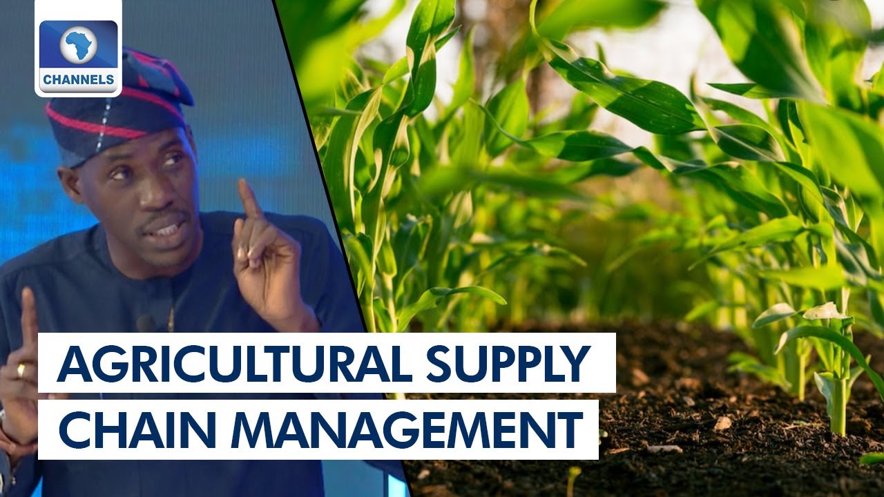 Agricultural Supply Chain; Connecting Source And Consumers - YouTube