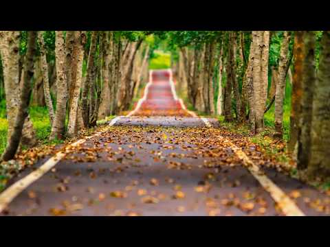 Aşk Fon Müzikleri, Fon Müzikleri 2018, Arka Fon Müzikleri Duygusal