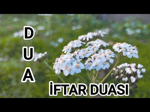 İFTAR DUASI #Dua #İftarduası #Ramazan #oruç #savm